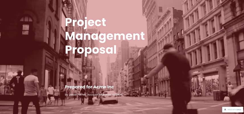 10 Best Proposal Examples For Every Industry [With Critique]